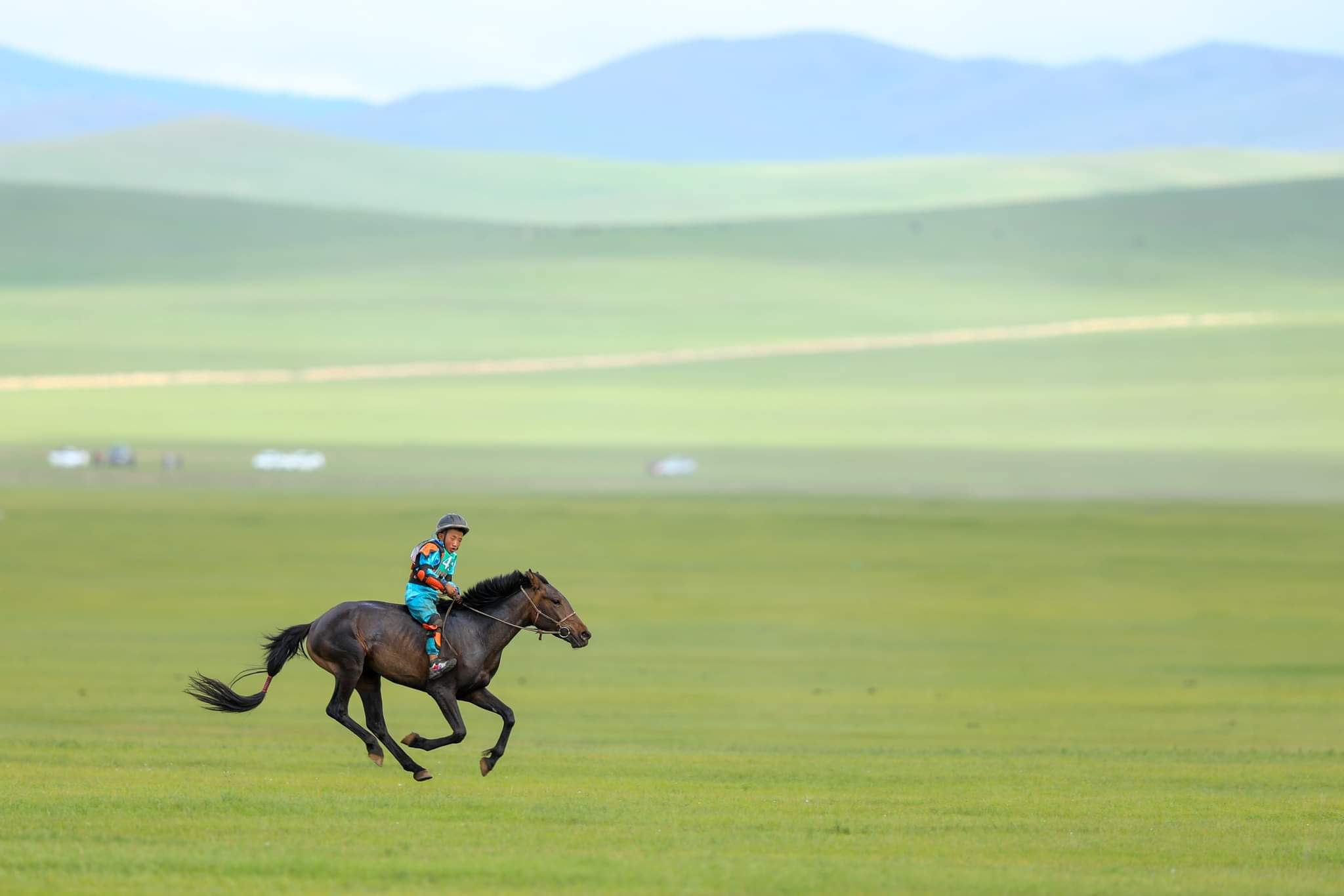 Монгол Улсын Ерөнхийлөгч хурдан соёолонгийн уралдаан үзэж сонирхлоо