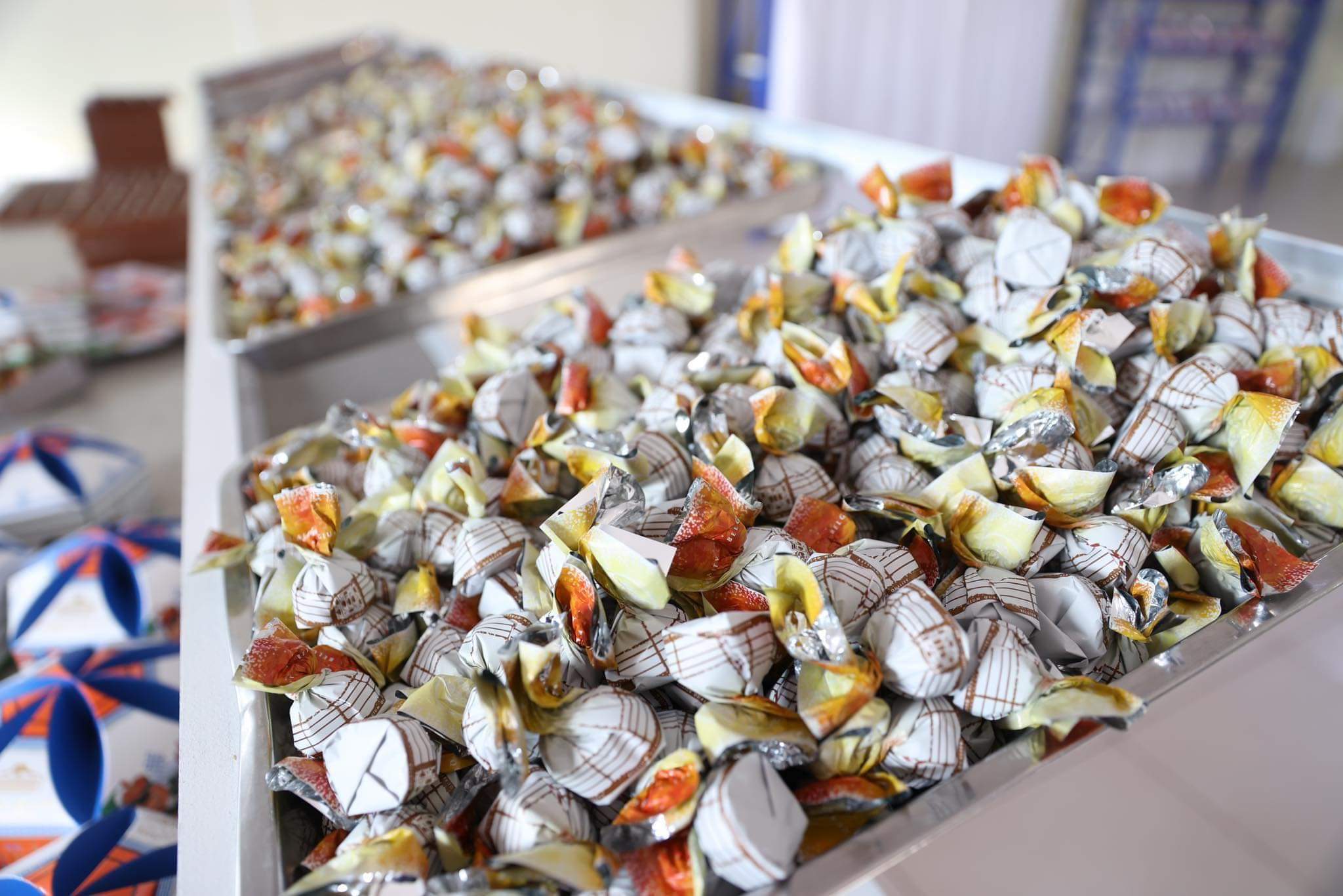 Ерөнхийлөгч үндэсний үйлдвэрлэгч аж ахуйн нэгжүүдэд ажиллаж байна News Mn